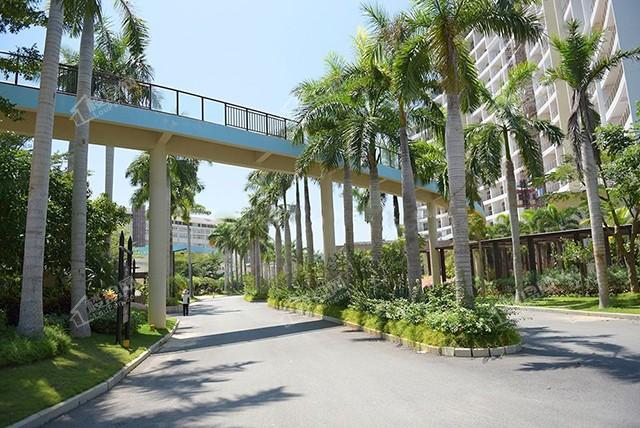 Aloha阿罗哈价格38000元/平米起 划算吗?-陵水楼盘网